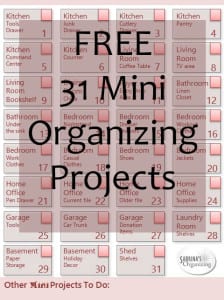 31 mini organizing projects