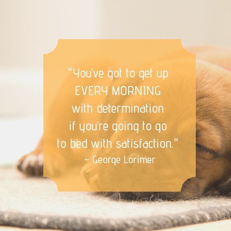 9 Motivational Quotes for College Dorm Decor - Sabrinas Organizing