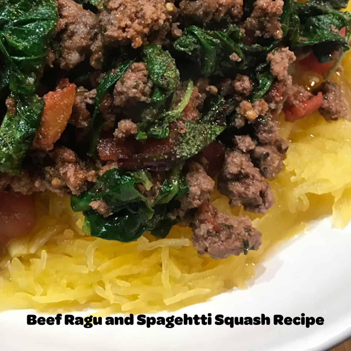 Beef Ragu and Spaghetti Squash Recipe - Sabrinas Organizing