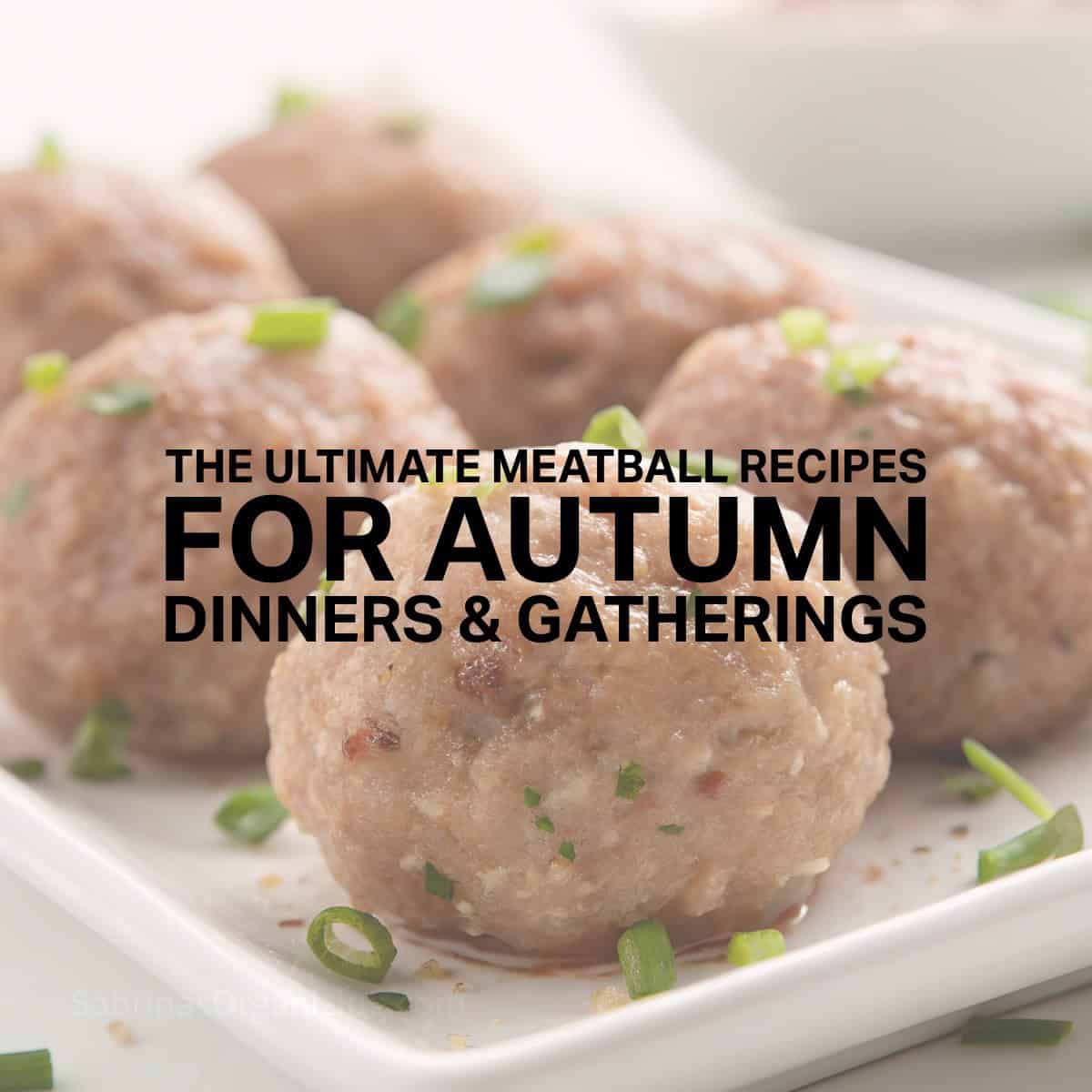 The Ultimate Meatball Recipes Roundup for Autumn Dinners & Gatherings ...