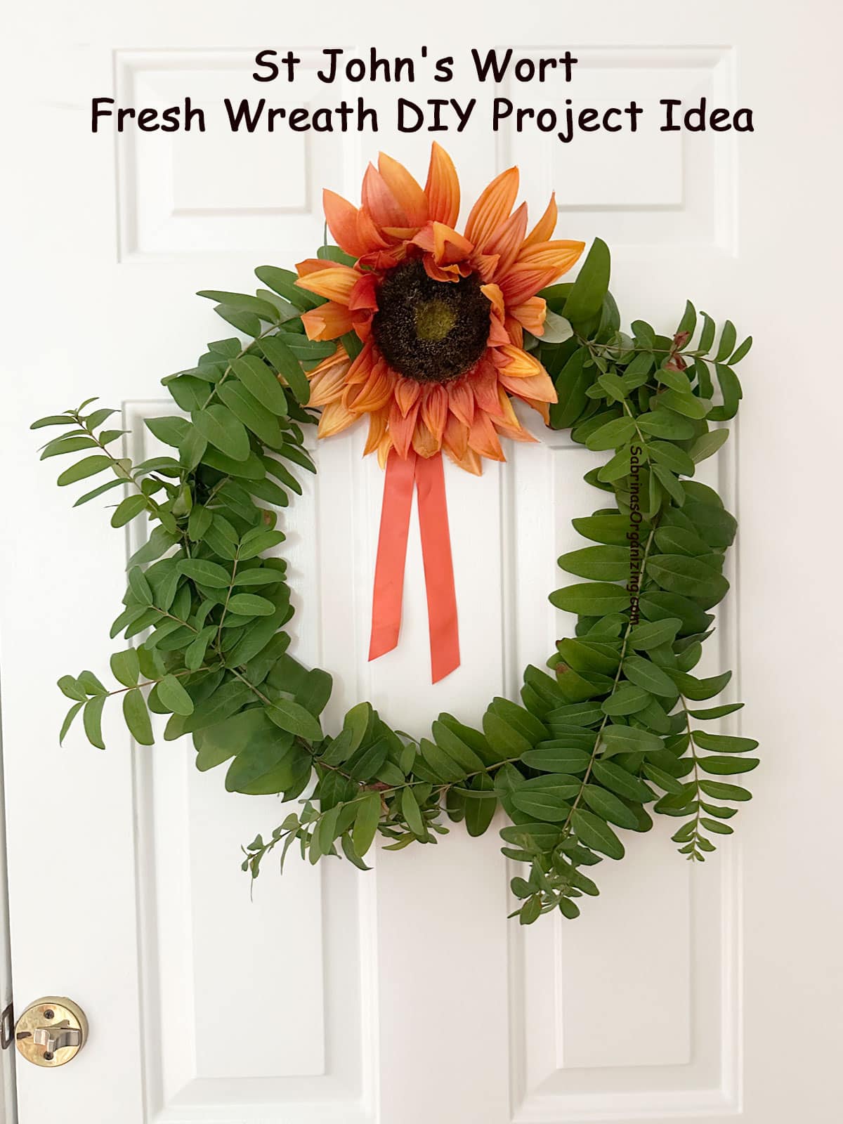 St John's Wort Fresh Wreath DIY Project Idea - Sabrinas Organizing